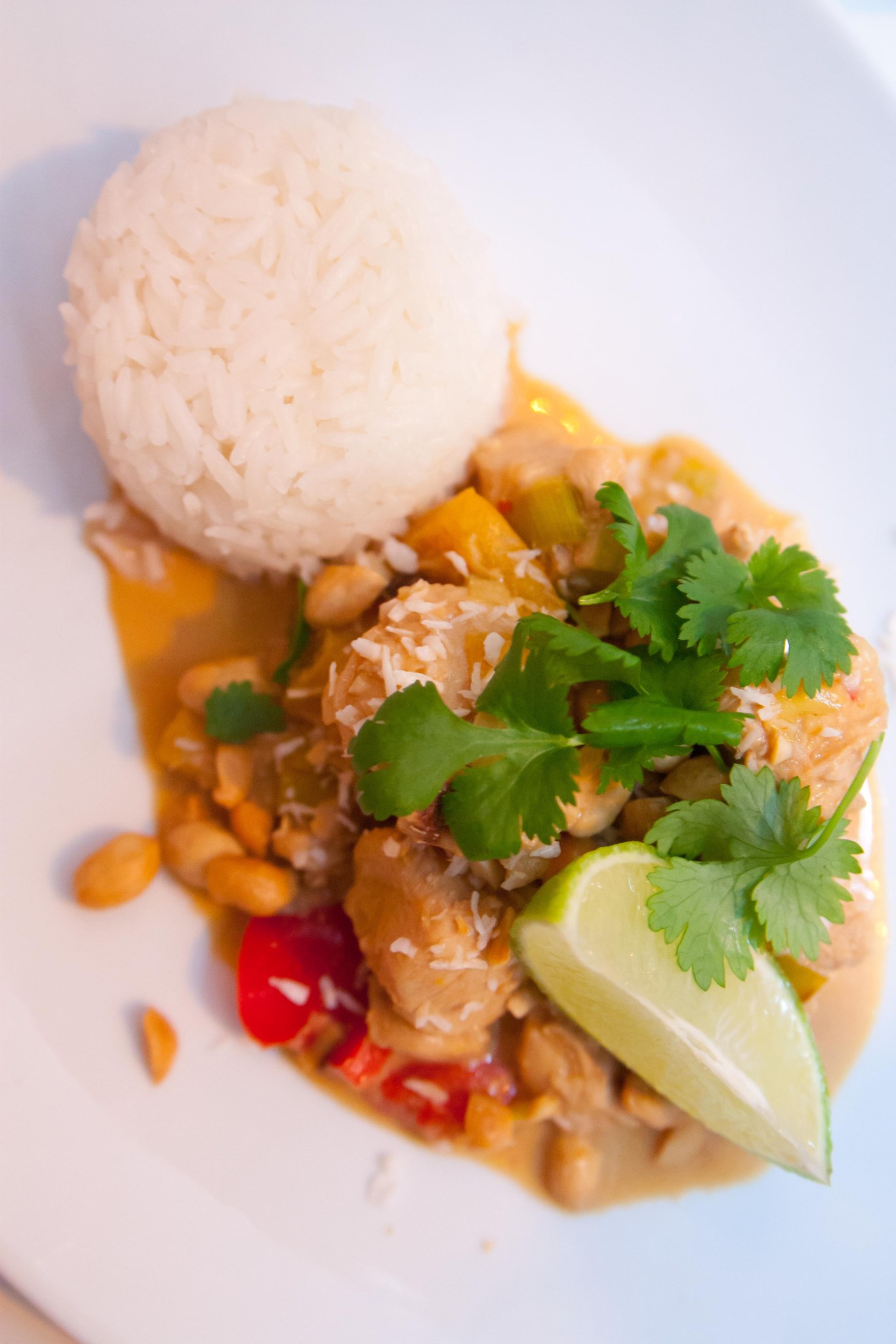 160314 Thai Kyckling med kokos-5474 – GOURMETMORSAN